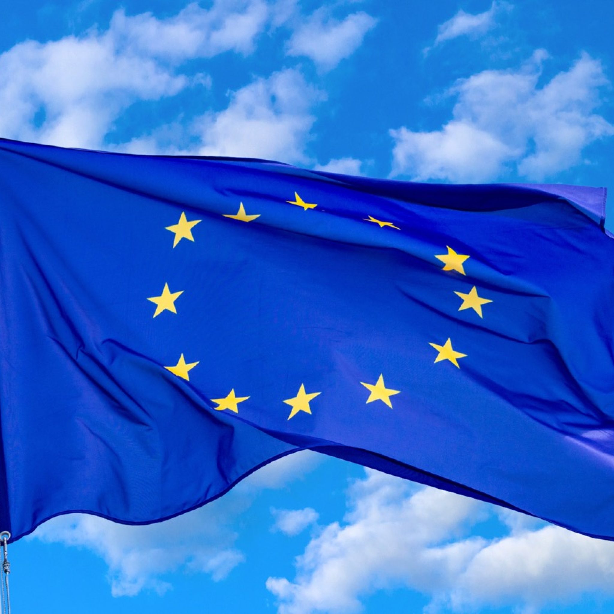 Derfor sier Venstre ja til ny norsk EU-avstemninig | Venstre