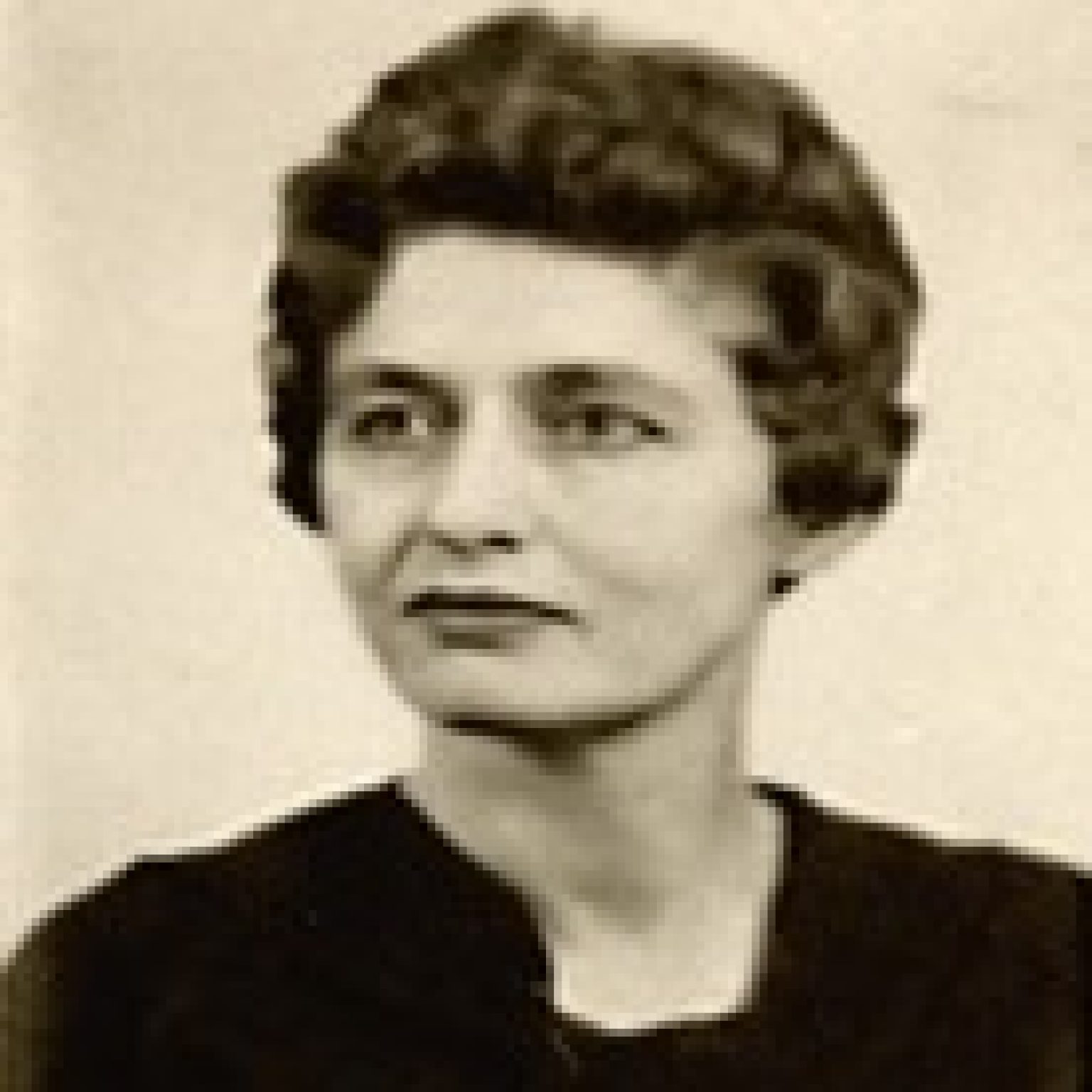 Eva Kolstad - Venstre