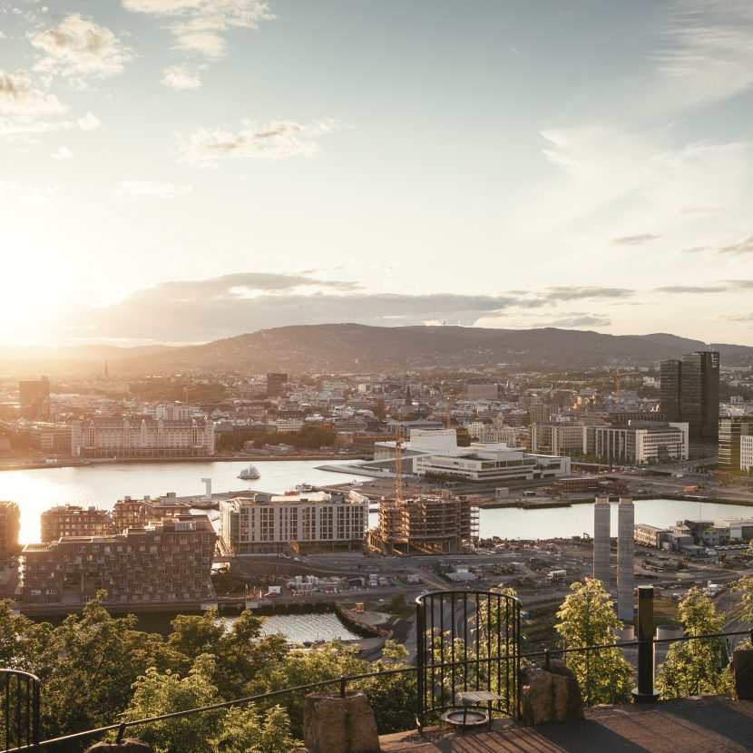 Politisk program - Oslo Venstre