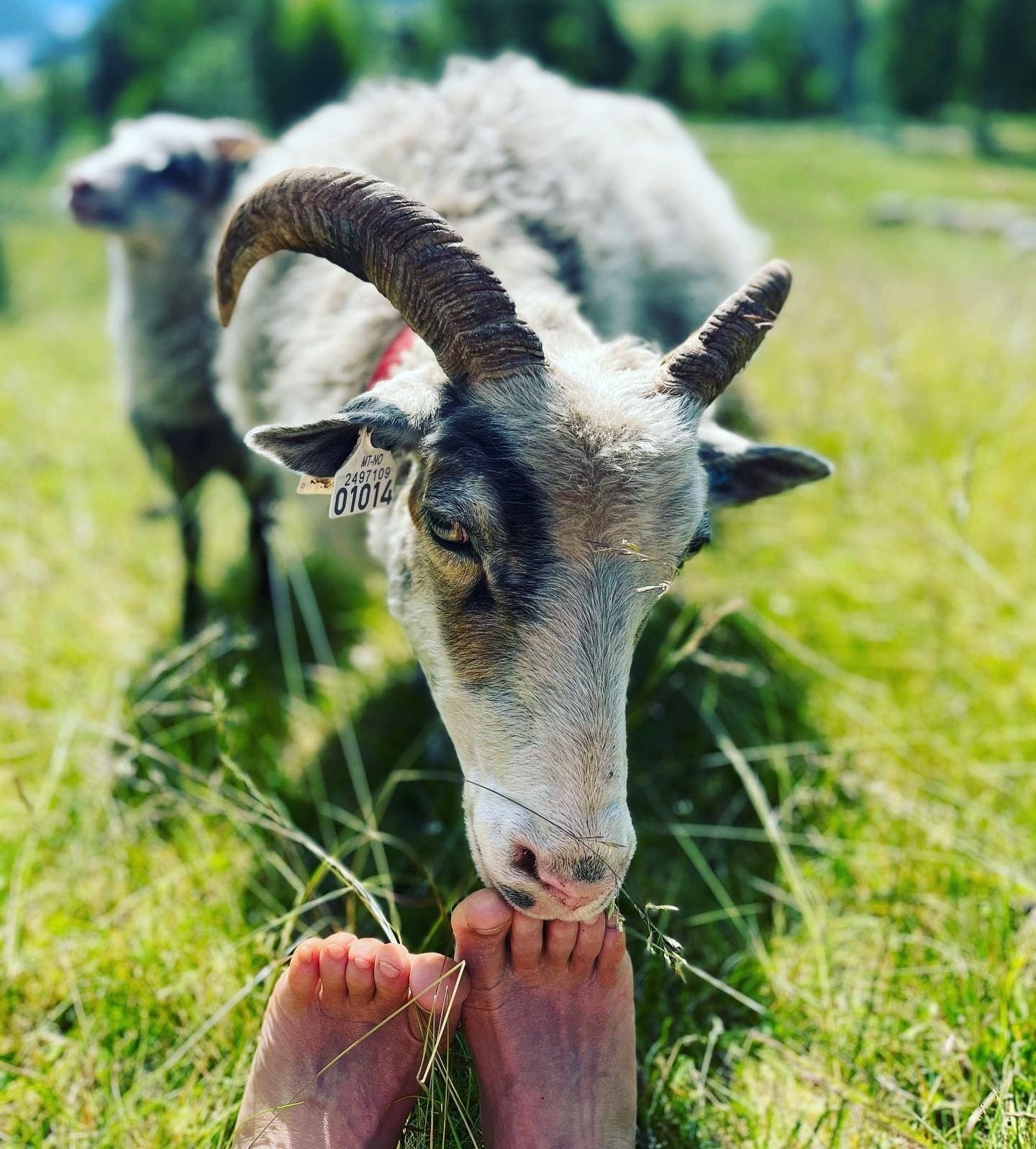 Har me laga ein perfekt arealplan? Neppe - Sogndal Venstre