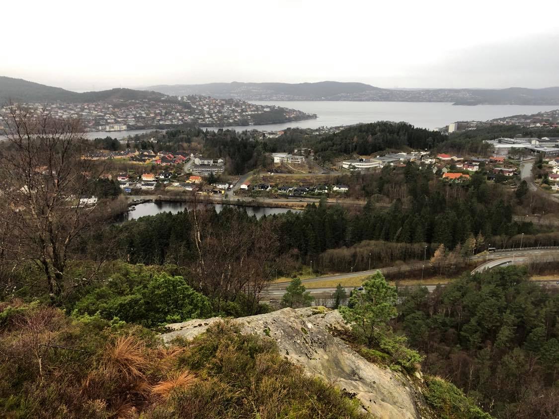 Uttalelse: Redd resten av Griggastemma! - Bergen Venstre