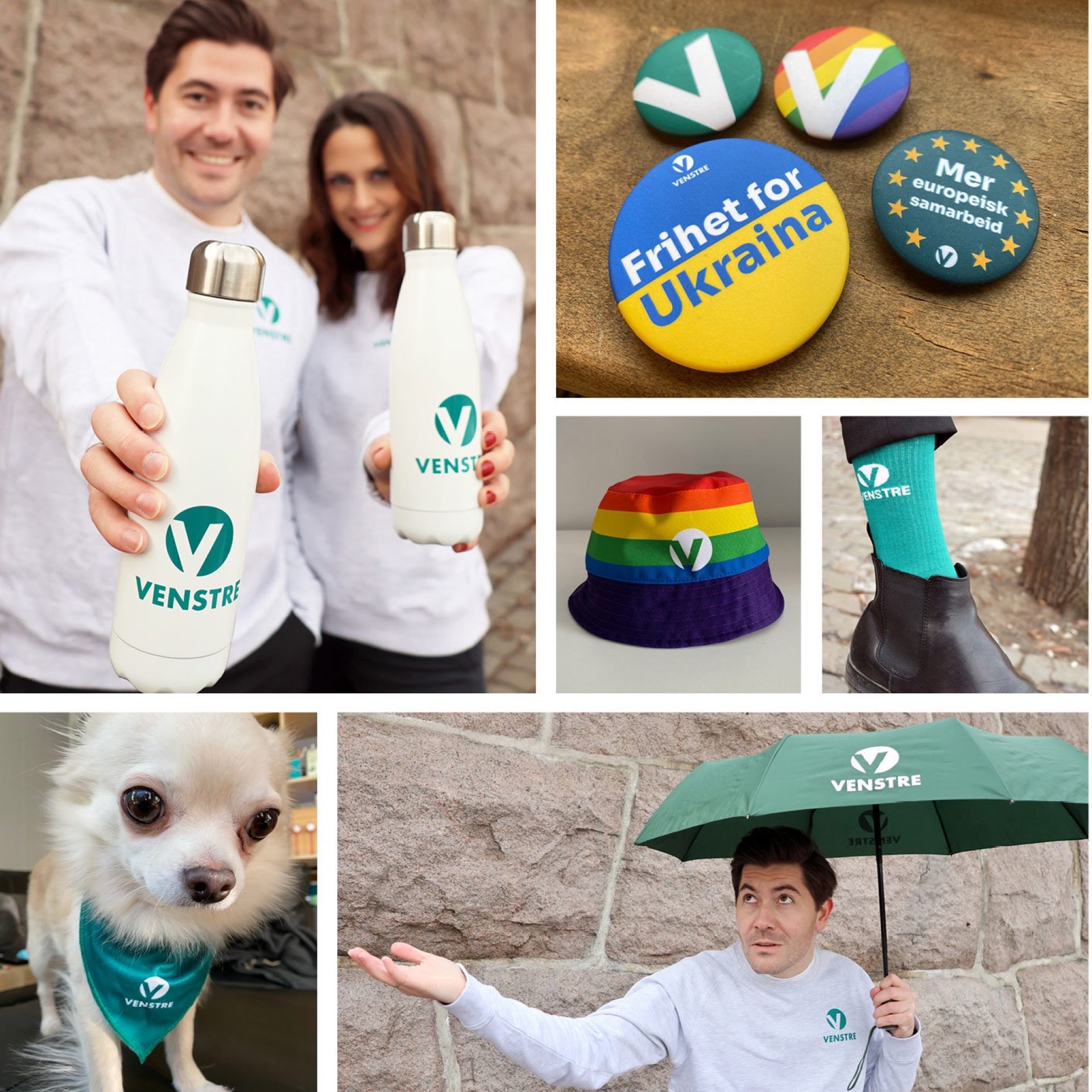 Bidra som Venstreaktivist - Venstre